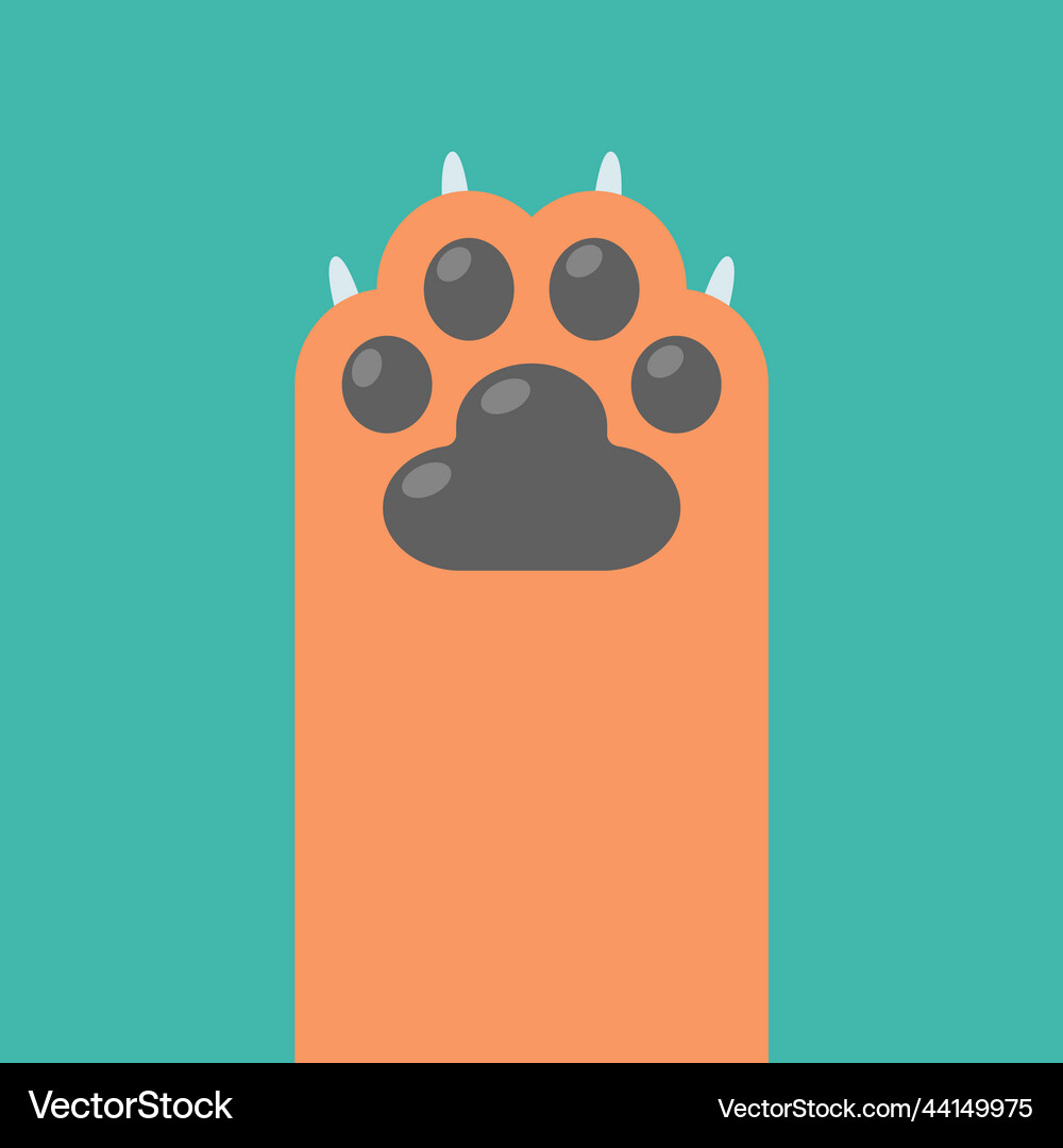 Dog and cat paws with sharp claws cute animal Vector Image