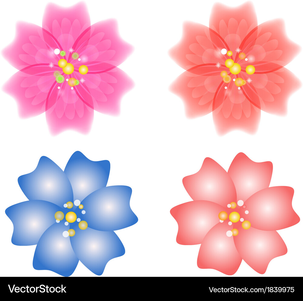 Flowers decorative abstract color isolated Vector Image