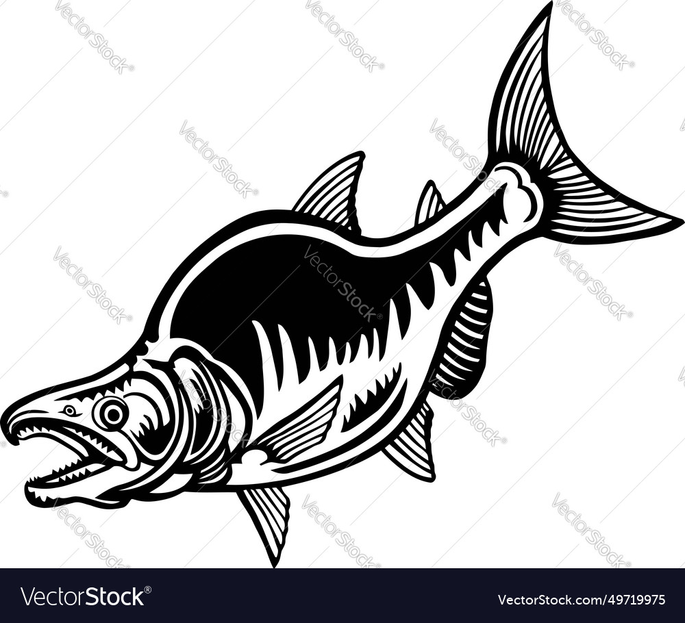 Red salmon - american fishes - logo fish Vector Image
