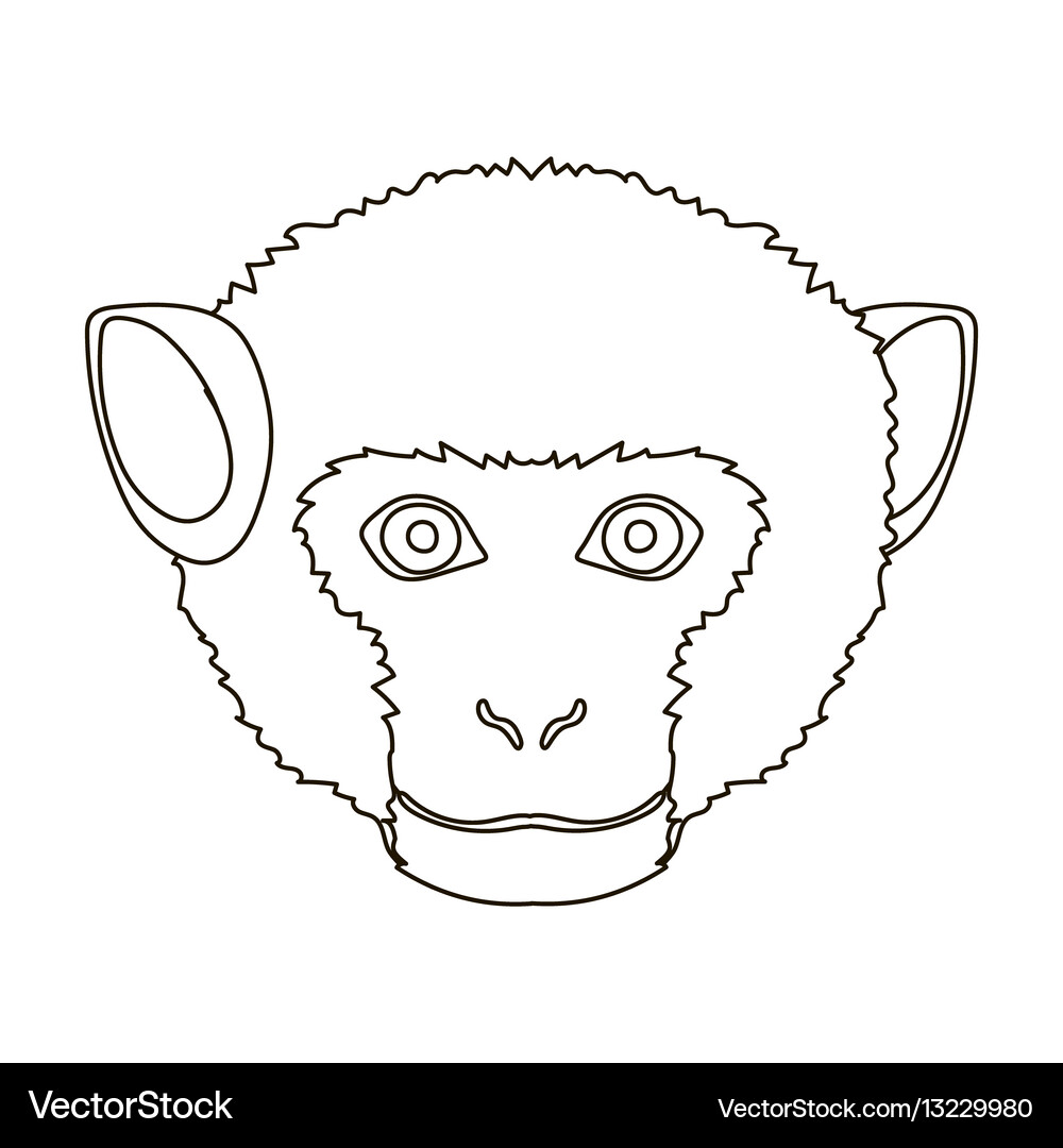 Monkey icon in outline style isolated on white Vector Image