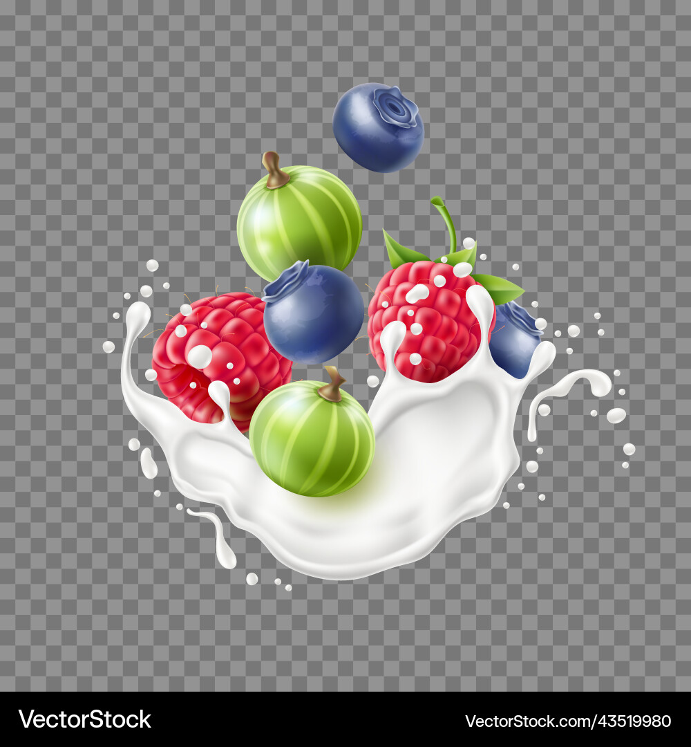 Realistic berry splash milk or yogurt splashes Vector Image