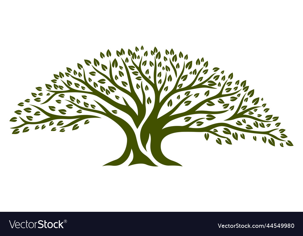 Spring or summer tree with green leaves natural Vector Image
