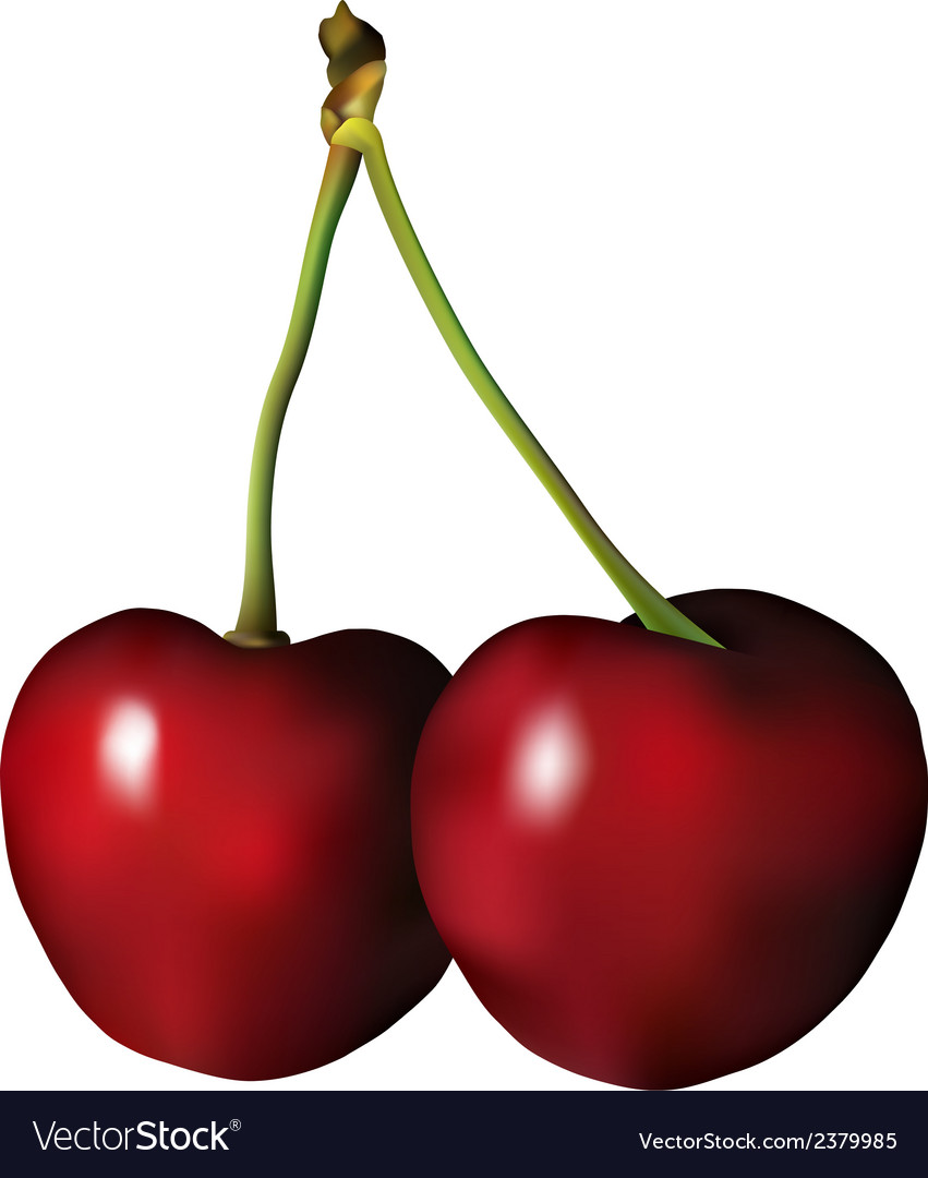 Cherry Royalty Free Vector Image - VectorStock