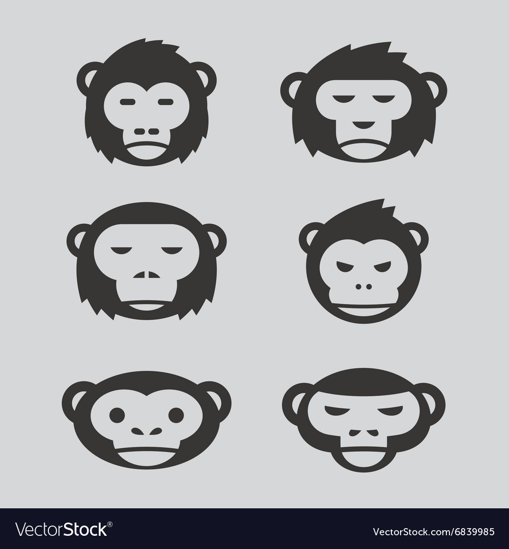 Monkey design set Royalty Free Vector Image - VectorStock