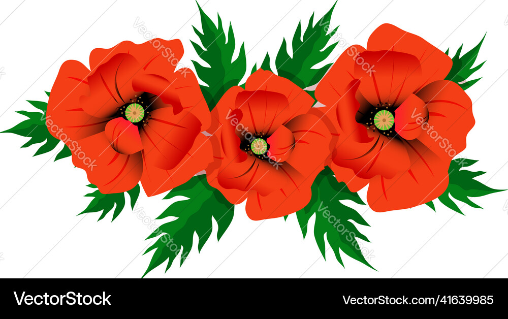 With decorative poppies flowers Royalty Free Vector Image