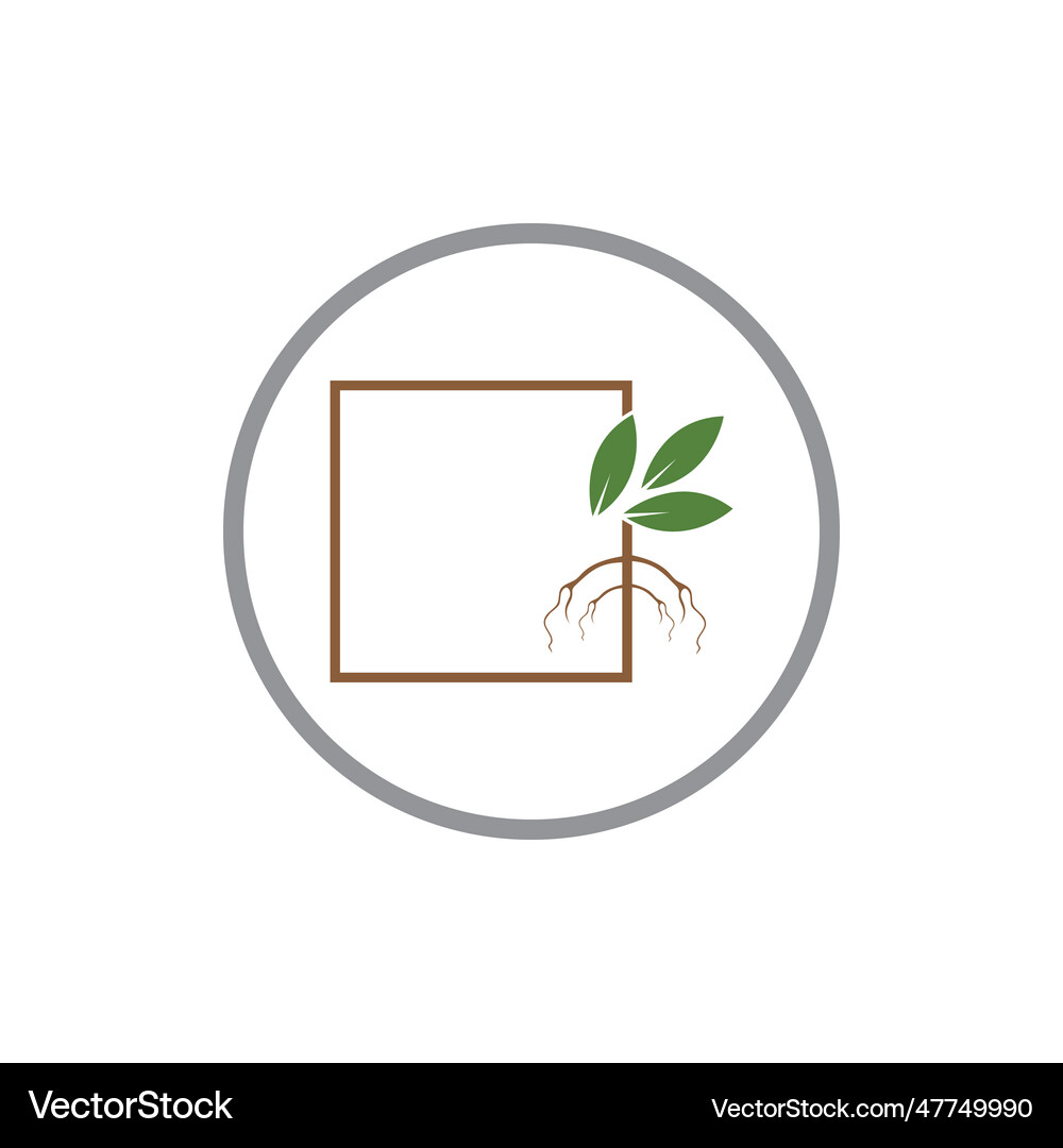 Mangrove trees and forest ecology logo Royalty Free Vector