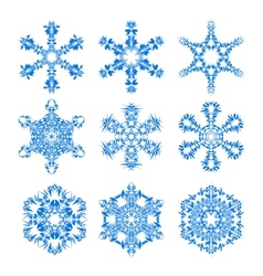 Snowflake set Royalty Free Vector Image - VectorStock
