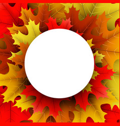 Autumn background with yellow maple leaves Vector Image