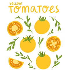Sketched tomatoes Royalty Free Vector Image - VectorStock