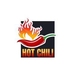 Chilli icon set logo food label or sticker Vector Image