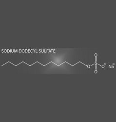 Sodium dodecyl sulfate molecule skeletal formula Vector Image