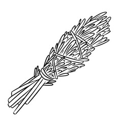 Sage smudge sticks hand-drawn set sketch Vector Image