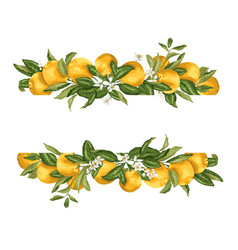 Lemon Border Vector Images (over 730)
