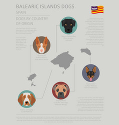 Dogs country origin spanish dog breeds Royalty Free Vector