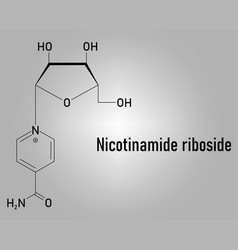 Nicotinamide riboside molecule Royalty Free Vector Image