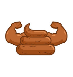 Shit icon brown turd sign poop symbol isolated Vector Image