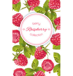 Raspberry round banner Royalty Free Vector Image