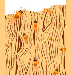 Shadow of termite with white back groundcartoon Vector Image