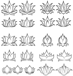 Lotus set Royalty Free Vector Image - VectorStock