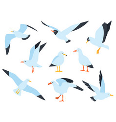 Seagull Cartoon Vector Images (over 2,400)