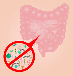 Bacterial overgrowth in small intestine Royalty Free Vector