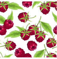 Raspberries pattern Royalty Free Vector Image - VectorStock