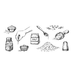 Hand salt sketch Royalty Free Vector Image - VectorStock