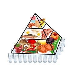 Food pyramid Royalty Free Vector Image - VectorStock