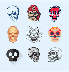 Different style skulls faces Royalty Free Vector Image