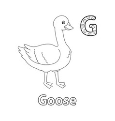 Goose animal tracing letter abc coloring page g Vector Image