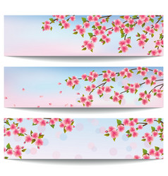 Modern japanese cherry blossom template Royalty Free Vector