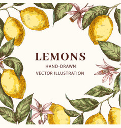 Lemon border drawing citrus fruit frame Royalty Free Vector
