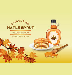 Maple syrup composition Royalty Free Vector Image
