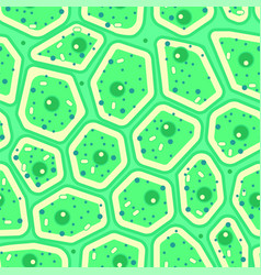 Cell seamless border Royalty Free Vector Image