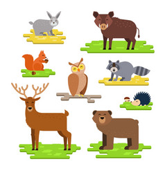 Zoo flat animals flat Royalty Free Vector Image