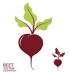 Beet Royalty Free Vector Image - VectorStock
