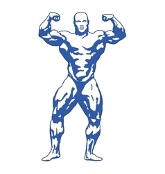 Muscle bodybuilder posing Royalty Free Vector Image