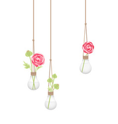 Flower in a light bulb Royalty Free Vector Image