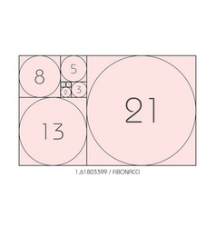 Golden ratio template fibonacci Royalty Free Vector Image