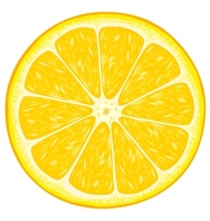 Orange Royalty Free Vector Image - VectorStock