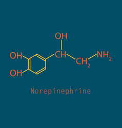 Norepinephrine noradrenaline norepi hormone and Vector Image