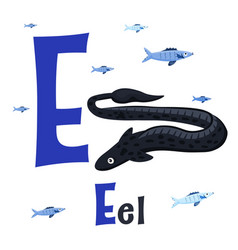 E is for eel Royalty Free Vector Image - VectorStock