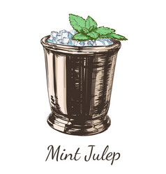 Cocktail mint julep Royalty Free Vector Image - VectorStock