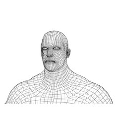 Wire frame athlete body on white background Vector Image