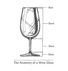 Iso standard wine tasting glass Royalty Free Vector Image
