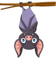 Happy cartoon bat hanging on tree Royalty Free Vector Image