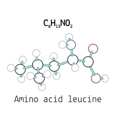 C6H13NO2 amino acid Isoleucine molecule Royalty Free Vector