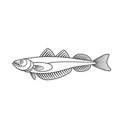 Northern whiting vintage Royalty Free Vector Image