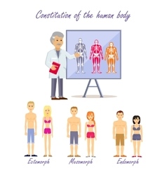 Human body constitution flat design concept Vector Image