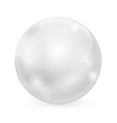 A crystal ball with seashells Royalty Free Vector Image